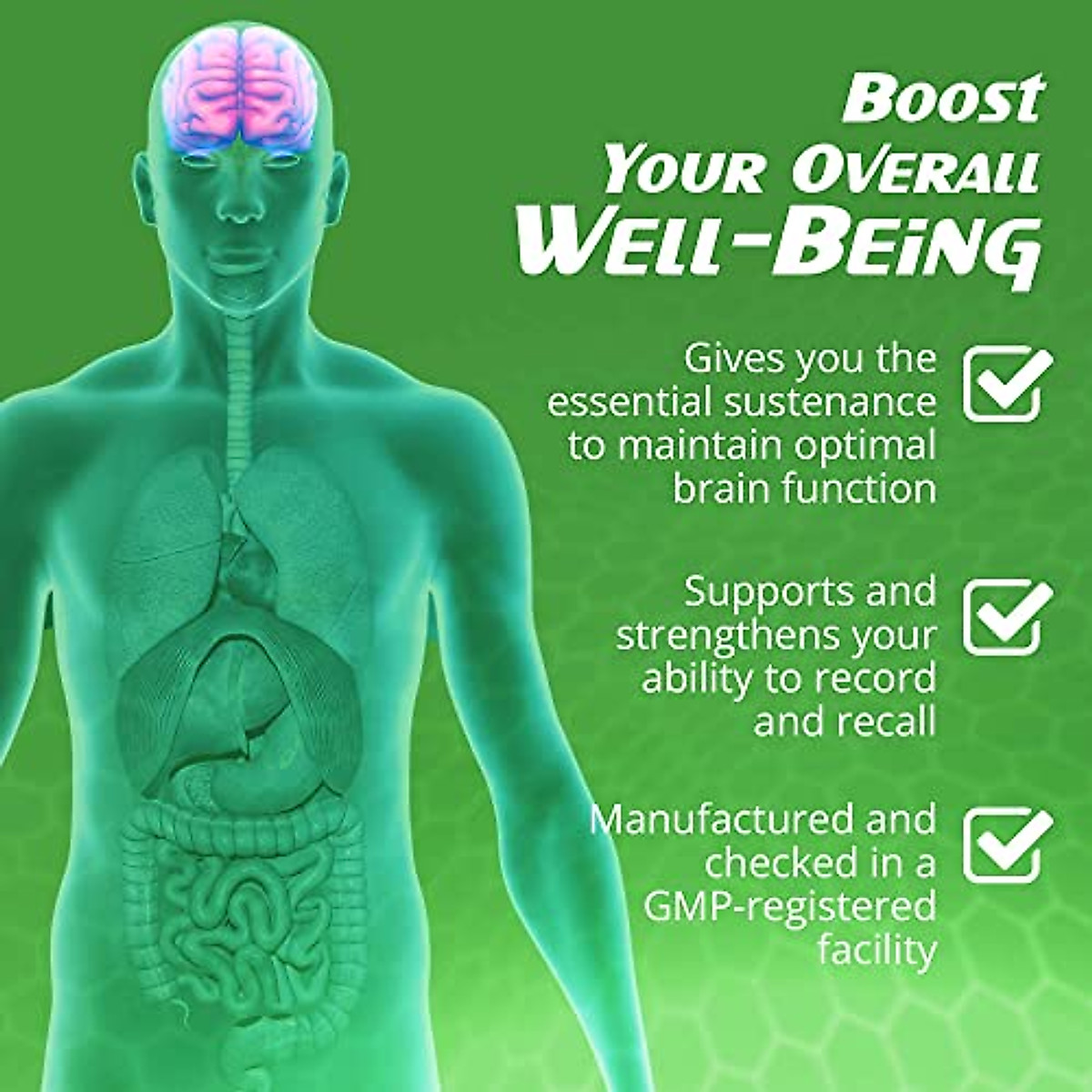 RaDoTech Ginkgo Biloba Support Brain Function, Supplements for Memory and Focus, Natural Antioxidant-Rich, Promotes Overall Health, 120 Vegetarian Capsules, GMP