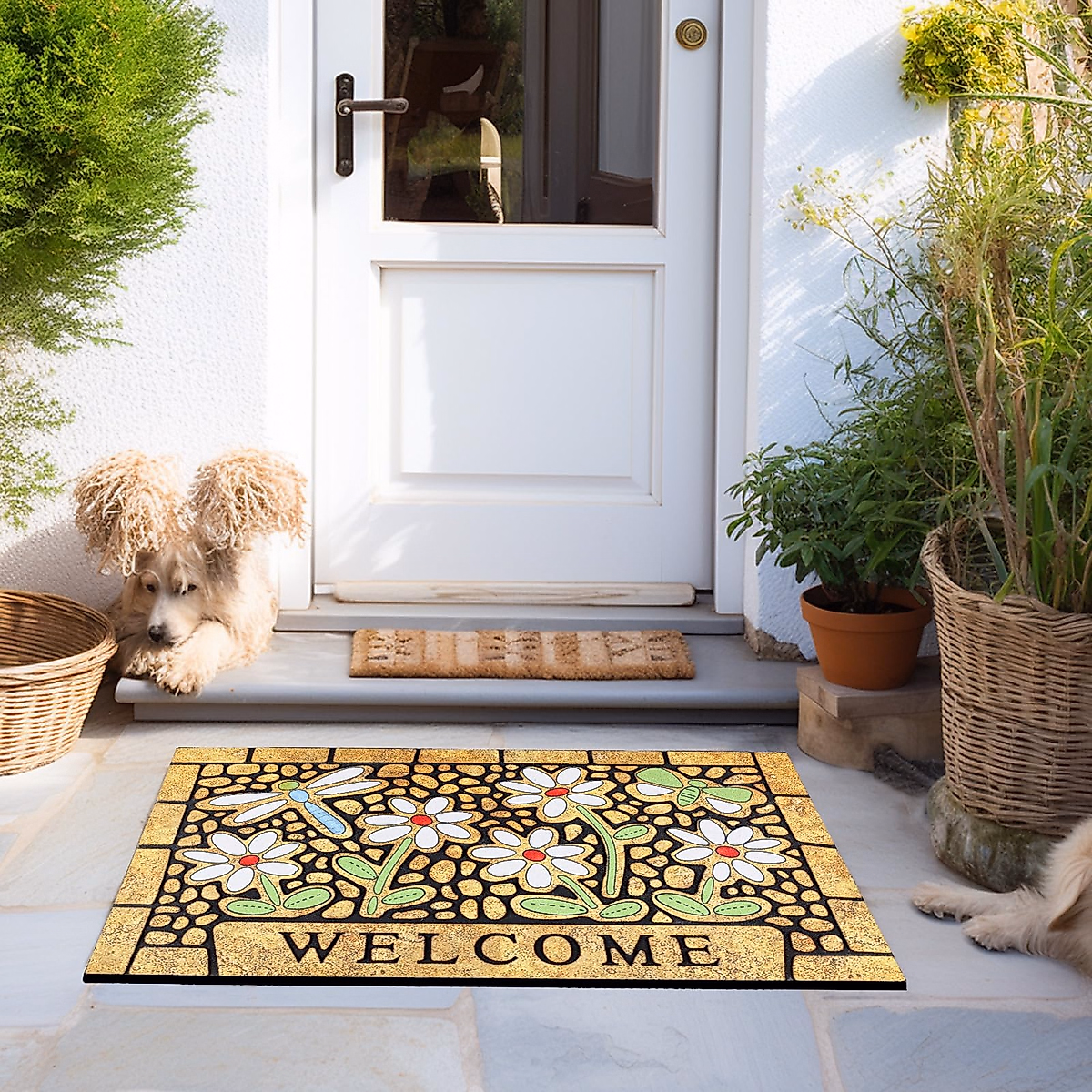 CHICHIC Door Mat, Welcome Mat 17x 30 Inch Front Door Mat Outdoors for Home Entrance Outdoors Mat for Outside Entry Way Doormat Entry Rugs, Heavy Duty Non Slip Rubber Back Low Profile, Dragonfly