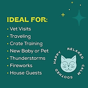 bSerene Pheromone Calming Spray for Cats 60mL