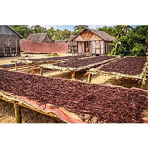 10 Organic Madagascar Vanilla Beans Whole Grade A Vanilla Pods for Vanilla Extract and Baking