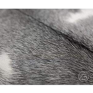 Genuine Goatskin Rug Goat Skin Goat Hide Goat Skin Rug Exotic 2 x 3 ft.