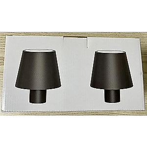 Howskys 2 Pack LED Dimmable Bottle Lamp 3000k+RGB, IP54 Wireless Bottle Lamp for Indoor and Outdoor, 5500 mAh Rechargeable Bottle Lamp for Family, Restaurant & Bar(Black)