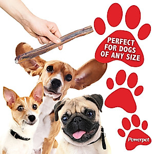 Natural Dog Chew - Powerpet: Bully Sticks - 12” Jumbo Bully Sticks - 7 Ct - Odorless - Helps Improve Dental Hygiene - 100% Natural & Highly Digestible - Helps Keep Your Dog Healthy & Happy