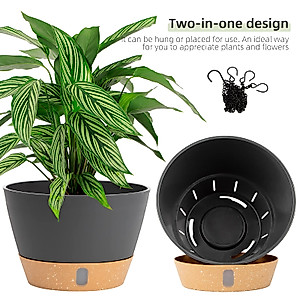 QCQHDU 2 Pack Hanging Planters Set,10 Inch Indoor Outdoor Hanging Plant Pot Basket,Hanging Flower Pot with Drainage Hole with 3 Hooks for Garden Home(Grey)