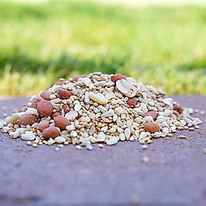 Desert Valley Waste Free Seed, All Natural, Non-GMO Premium Wild Bird and Wildlife Food for Jays, Dove, Cardinals, Squirrels, Chipmunks and More (10 Pounds)