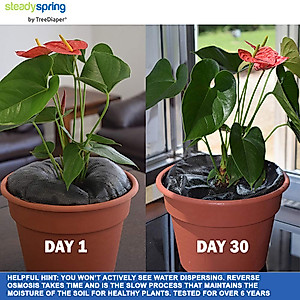 SteadySpring® Smart 30+Day Watering Mat for 10 in to 12 in Containers for Houseplants, Annuals, Herbs, Trees, Tomatoes - Self-Filling, Lasts 30+ Days, Automatic Irrigation Mat (2-Pack)