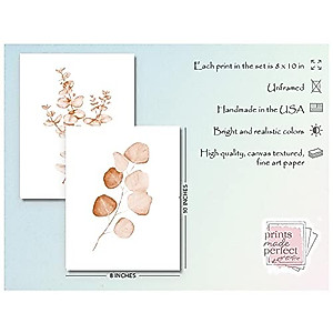 Botanical Prints Wall Art - Watercolor Eucalyptus Leaf Prints (Set of 4) - 8x10 - Unframed