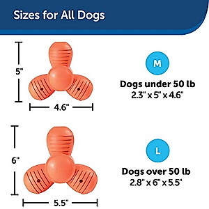 PetSafe Large Sportsmen Squeak 'N' Treat Troog Pet Chew Toy