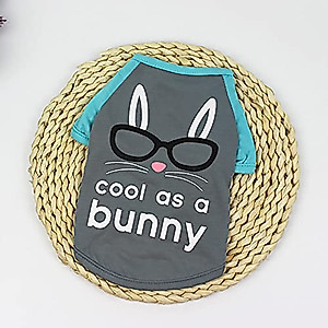 Cute Girl Puppy Clothes Dog Clothing Staple Fiber Jersey Vest Hoodie Fleece Puppy Sweater Shirt Doggie Soft Coat Apparel Puppy Costume for Small Dog