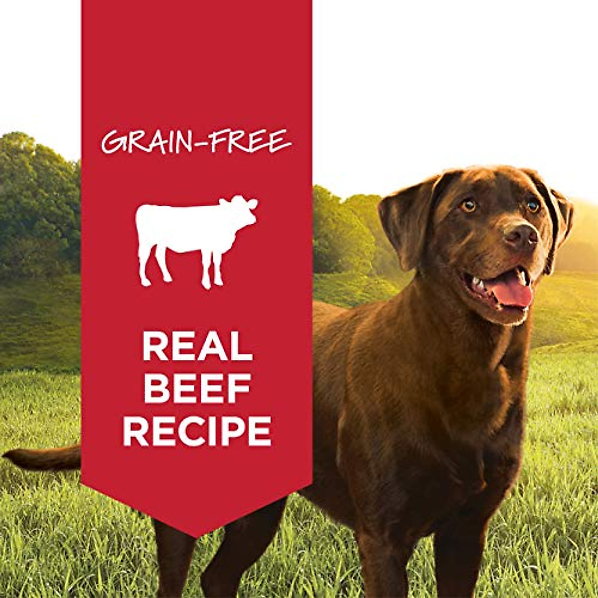 Instinct Original Grain Free Real Beef Recipe Natural Wet Canned Dog Food, 13.2 oz. Cans (Case of 6)