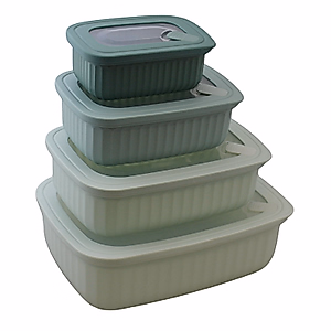 Set of 4 BPA Free Food Storage Containers with Vented Lids Assorted Sizes, Microwave & Freezer Safe, Leftovers, Meal Prep, Fridge Organization Dry Grains Storage by Dependable Industries Inc. (Green)