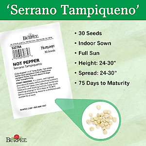 Burpee Serrano Tampiqueno Hot Pepper Seeds 30 seeds