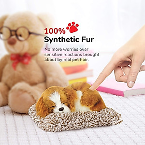 Perfect Petzzz Mini Cavalier King Charles, Realistic Battery-Operated Dog Toy, Calming Companion for Kids & Elderly