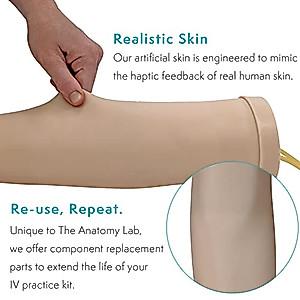 Anatomy Lab Premium IV and Venipuncture Training Kit, Practice Arm for Venipuncture Skills, Phlebotomy Practice, Clinical Nursing Training, 25+ Piece Kit, Durable & Realistic with 1 Year Warranty
