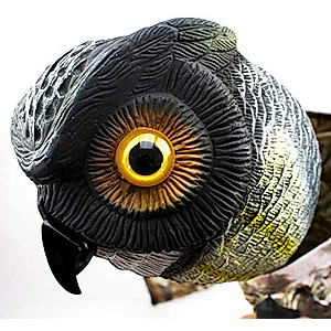 Bird-X Prowler Fake Owl Moving Wings-Realistic Bird Scare, Hawk, Pigeon, and Squirrel Repellent, Pest Deterrent Decoy Black Small