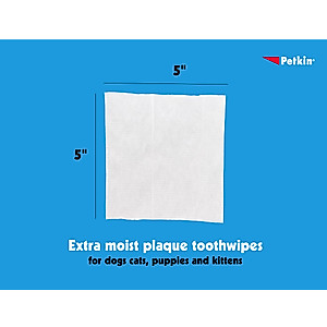 Petkin Cat and Dog Dental Wipes, 40 Wipes (Fresh Mint) - Natural Formula Cleans Teeth, Gums & Freshens Breath - for Daily Use - Convenient Dog Dental Care - 1 Pack of 40 Wipes