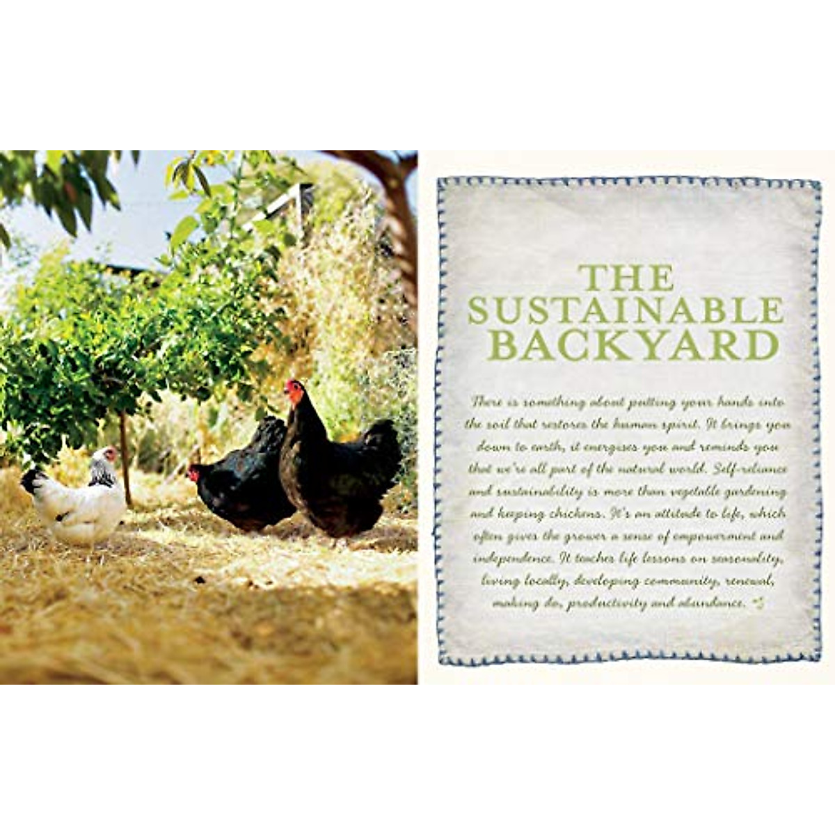 Down to Earth: A Guide to Simple Living