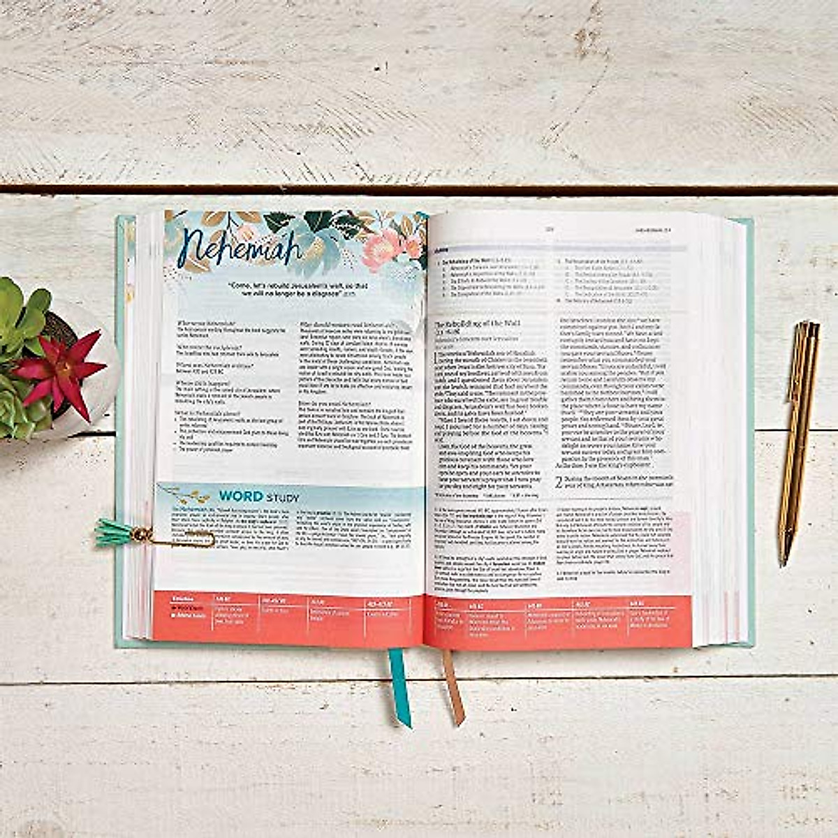 CSB Study Bible For Women, Light Turquoise/Sand Hardcover, Black Letter, Study Notes and Commentary, Articles, Profiles, Word Studies, Charts, Full-Color Maps, Easy-to-Read Bible Serif Type