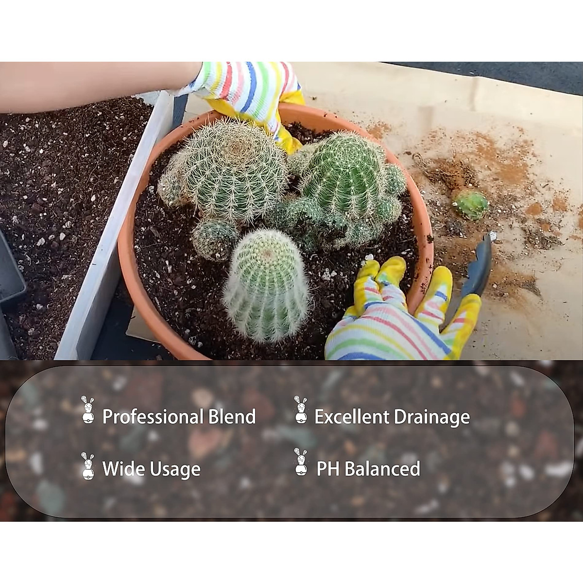 O-FarFarm Cactus Soil Potting Mix 1.1 LBS, Optimized PH Fast Draining with Added Nutrients, Perfect for Small Cactus Pots