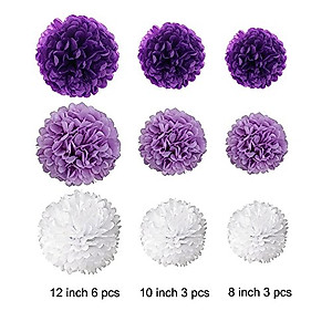 Wartoon Tissue Paper Pom Poms Flowers for Wedding Birthday Party Baby Shower Decoration, 12 Pieces (Purple, Lavender and White)