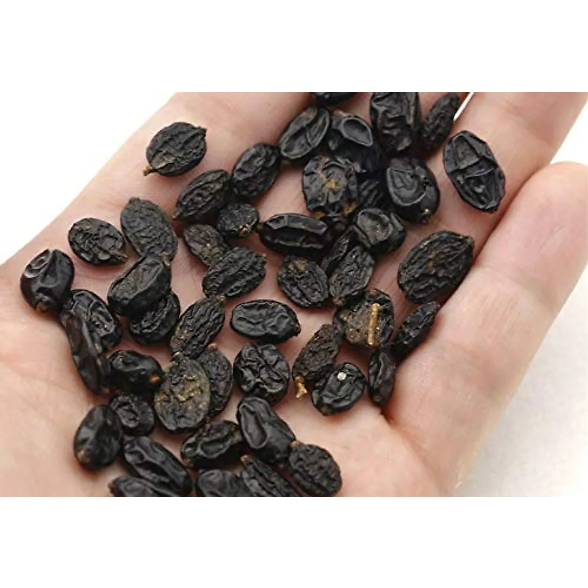 50 Pcs Mixed Color Multicolor Hydrangea Macrophylla Seed Bonsai Flower Plant Wedding Seeds