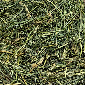 Rabbit Hole Hay Ultra Premium, Hand Packed Coarse Orchard Grass for Your Small Pet Rabbit, Chinchilla, or Guinea Pig (5lb)