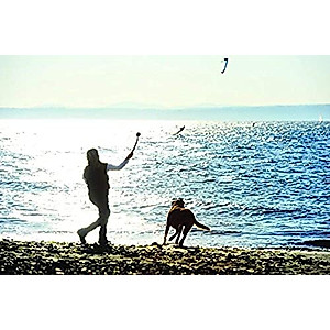 Chuckit! Pro 25M Dog Ball Launcher, 25" Length, Includes Medium Ball (2.5") For Dogs 20-60 Pounds