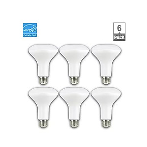 EcoSmart 65-Watt Equivalent BR30 Dimmable LED Light Bulb Daylight (6-Pack)