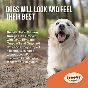 Omega 3 for Dogs - Skin & Coat Soft Chews for Dogs - Salmon Oil, EPA & DHA Fatty Acids - Itch Relief, Hot Spots, Shedding, Allergies & Hot Spot Relief - 120 Soft Chews, Made in USA