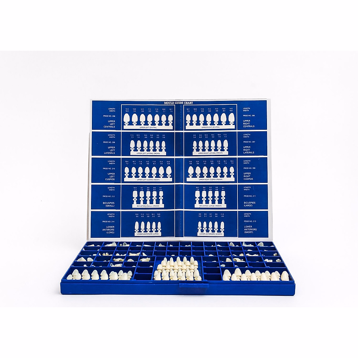 Polycarbonate Temporary Dental Crowns Kit 360 pcs with Crown Mold Guides