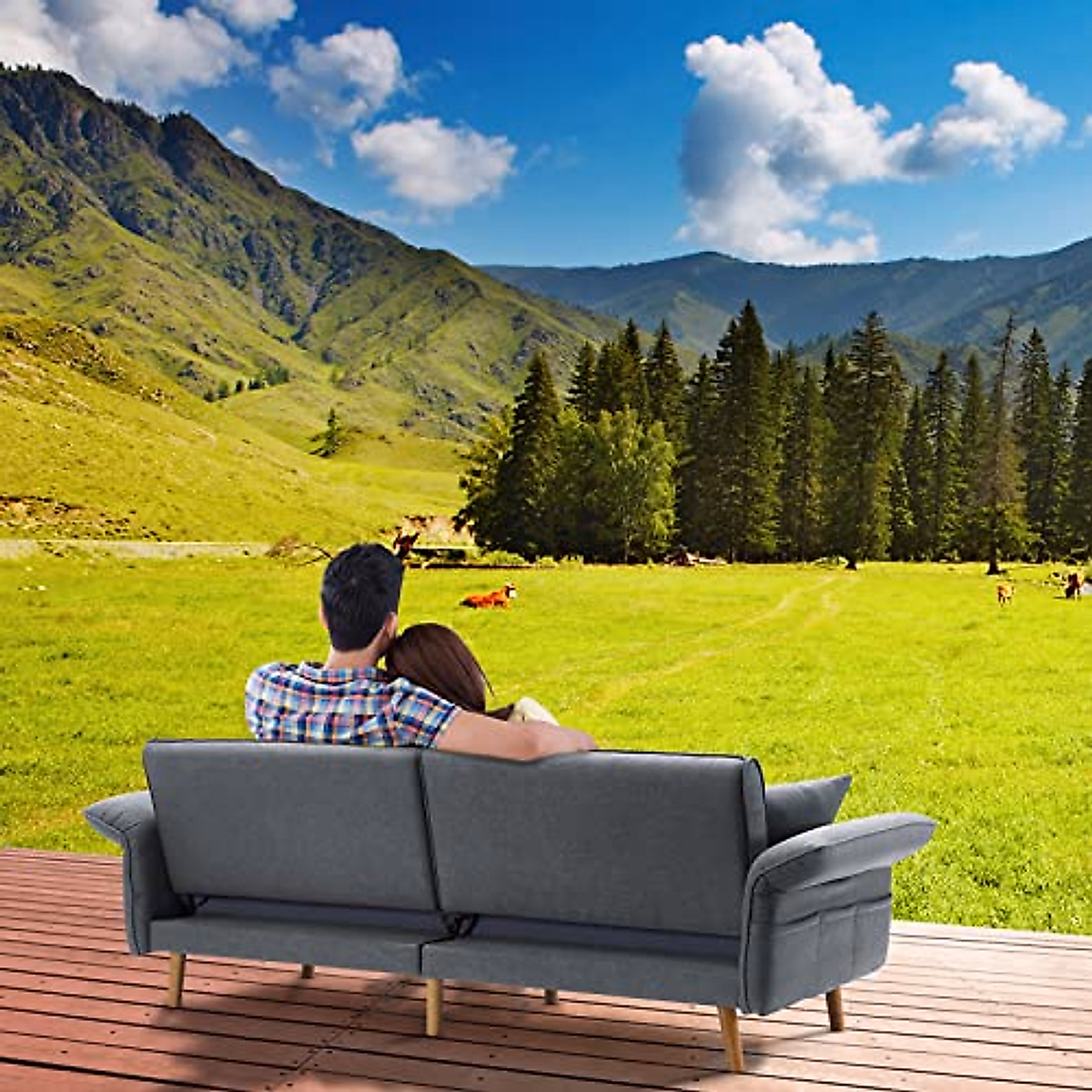 DENOSEN First-Class Cabin Futon Couch Bed with Convertible Back and Armrests, Includes 2 Free Pillows and Supports Up to 600lbs: Modern 3 Seater Sleeper with Wooden Leg Sofabed, Grey