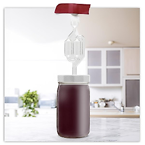 Fermentaholics 4-Pack Fermentation Lids with S Airlocks for Wide Mouth Mason Jars - Multicolored, Reusable, with Silicone Gaskets for Fermenting Vegetables, Sauerkraut, Kimchi & More