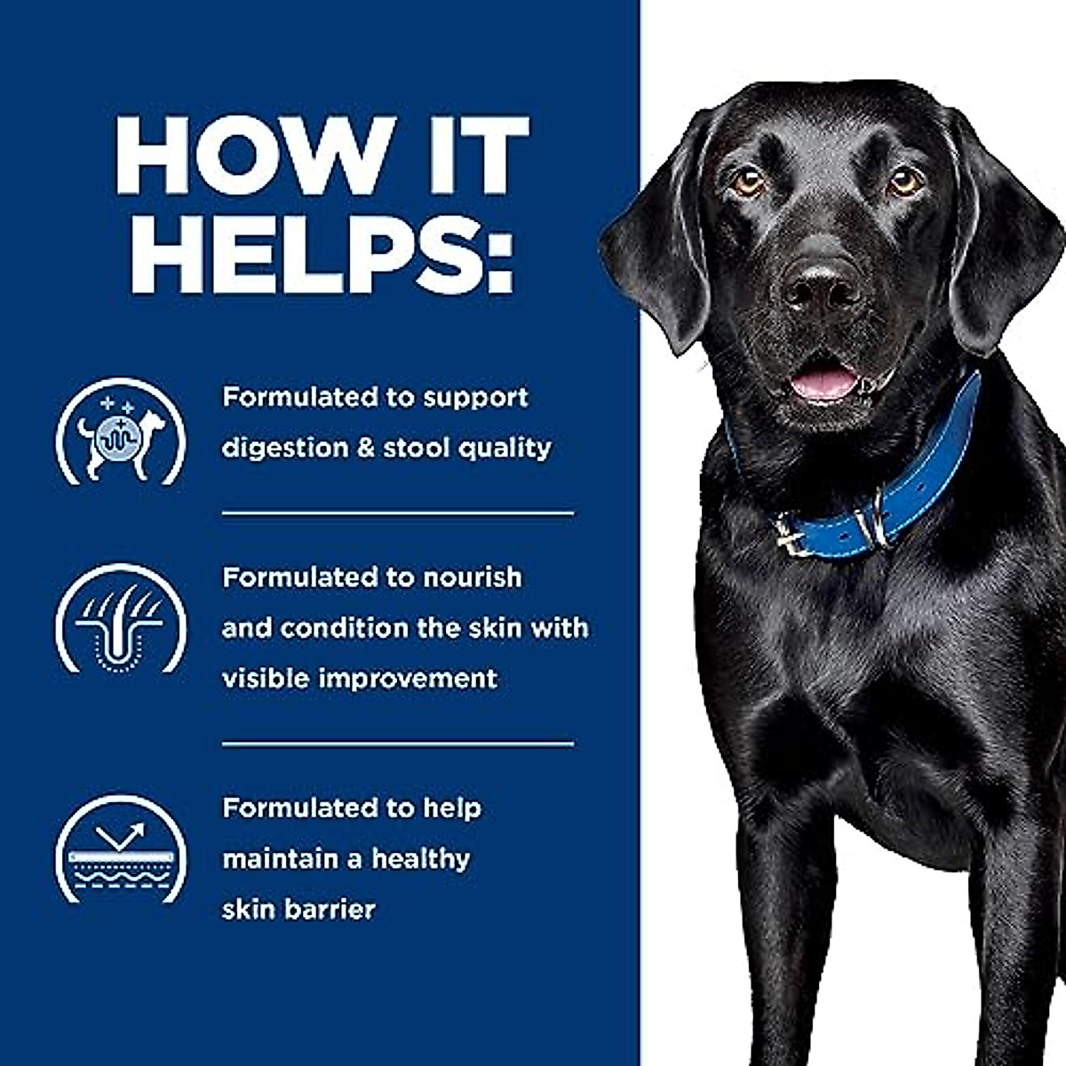 Hill's Prescription Diet d/d Food Sensitivities Potato & Salmon Formula Dry Dog Food, Veterinary Diet, 8 lb. Bag