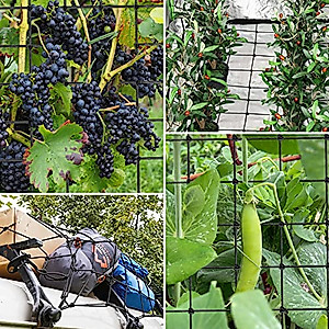 VIVOSUN 2 x 4Ft. Elastic Trellis Netting with 4 Hooks for Climbing Plants, Vegetables, Fruits, and Flowers, 1-Pack