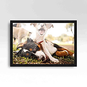 9x24 Frame Black Real Wood Picture Frame Width 0.75 Inches | Interior Frame Depth 0.5 Inches | Noir Classique Mid Century Photo Frame Complete with UV Acrylic, Foam Board Backing & Hanging Hardware