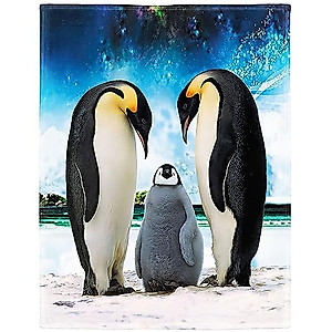 HommomH 40"x50" Blanket Soft Fluffy Flannel Fleece Throw Blue Sky Penguin