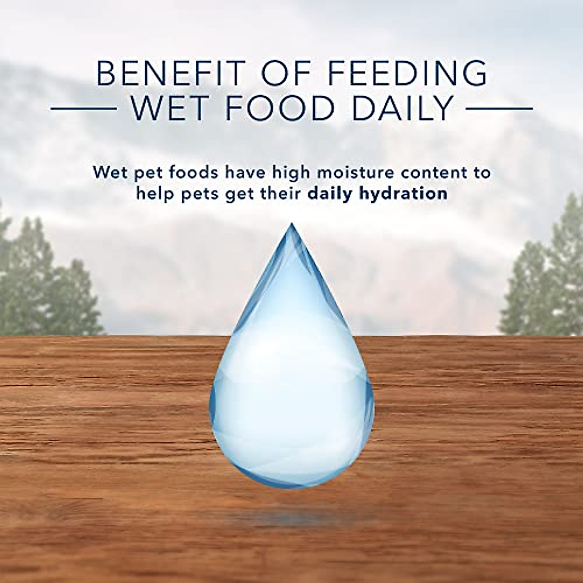 Blue Buffalo Wilderness High Protein Beef and Chicken & Salmon and Chicken Wet Dog Food Variety Pack for Adult Dogs, Grain-Free, 12.5 oz. Cans (6 Pack)