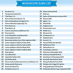 100Pcs Prepared Microscope Slides Set Professional Specimens for Kids Student Homeschool Use