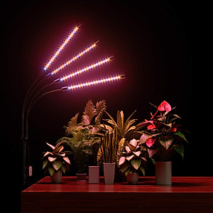FRENAN Grow Light with Stand, Grow Lights for Indoor Plants with Red Blue Spectrum, 10 Dimmable Brightness, 4/8/12H Timer, 3 Switch Modes, Adjustable Gooseneck, Suitable for Various Plants Growth