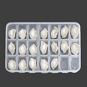 BESTonZON Dumpling Storage Box, Food Storage Containers with Lids, Reusable 21 Grid Dumpling Box Bins Holder with Lids for Refrigerator, Good Sealing Stackable Food Containers for Kitchen and Fridge
