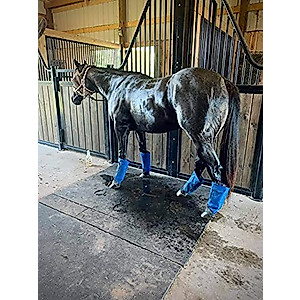 Fly Free Insect Protection Boots, Blue, HORSE