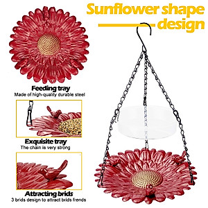 ERYTLLY Hanging Bird Feeder and Bath for Outside, Metal Wild Bird Feeder for Outdoors Garden Backyard Balcony Decor, Large Platform Bird Seed Water Feeders Tray, Bird Watching Gift, Red