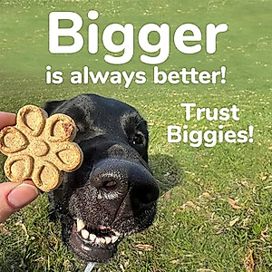 Fruitables Biggies Dog Biscuits – Crunchy Dog Biscuits Made with Pumpkin – Healthy Dog Treats Packed with Real Fruit Flavor – Free of Wheat, Corn and Soy – Almond Butter & Coconut – 16 oz