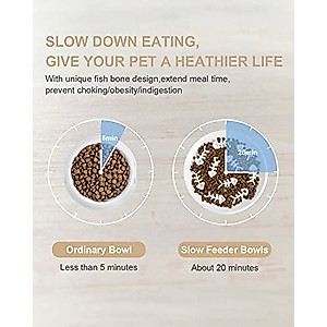 Raised Cat Dog Slow Feeder Bowl with Stand, Cat Bowls for Slow Eating, Ceramic Elevated Slow Feed Cat Bowls, Pet Bowl for Cat and Dog, Cat Puzzle Feeder for Healthy Eating Diet, 3'' High, 8.5'' Wide