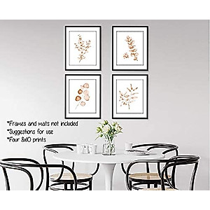 Botanical Prints Wall Art - Watercolor Eucalyptus Leaf Prints (Set of 4) - 8x10 - Unframed