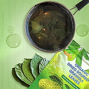 NalLife ORGANIC Soursop Graviola Leaves for Tea 200 Leaves