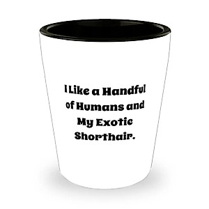 I Like a Handful of Humans and My Exotic Shorthair. Shot Glass, Exotic Shorthair Cat Ceramic Cup, Unique For Exotic Shorthair Cat