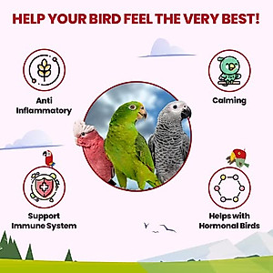 Bird Street Bistro Parrot Tea 3oz - Parakeet Food - Parrot Food & Cockatiel Food Vitamin Substitute - Bird Health Supplies - Bird Food Parrot Tea - Bird Food Topper