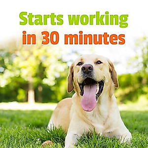 Pet Naturals BusyButter Extra Strength Calming Peanut Butter with Melatonin for Dogs - Great for Treats, Lick Mats, Training, Calming, and Enrichment Toys