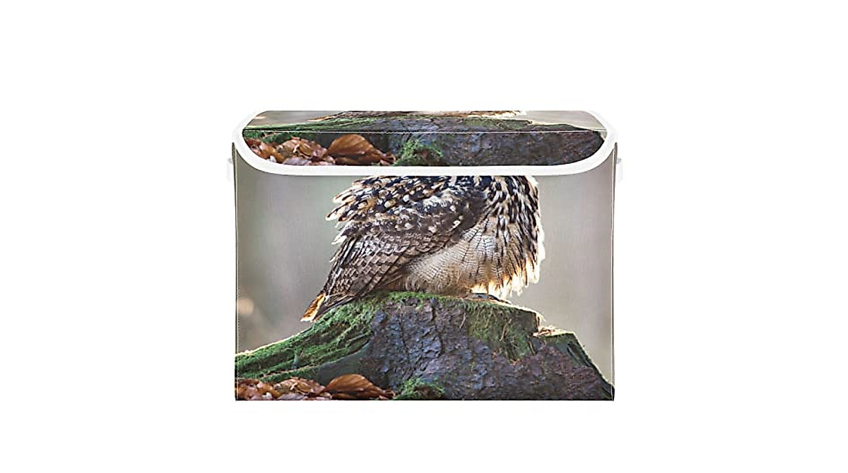 Kigai Cute Owl Large Collapsible Storage Box with Lid